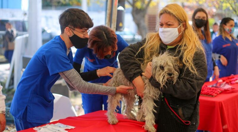 Brinda Guadalupe Vacunación Y Esterilización De Mascotas Para Atender