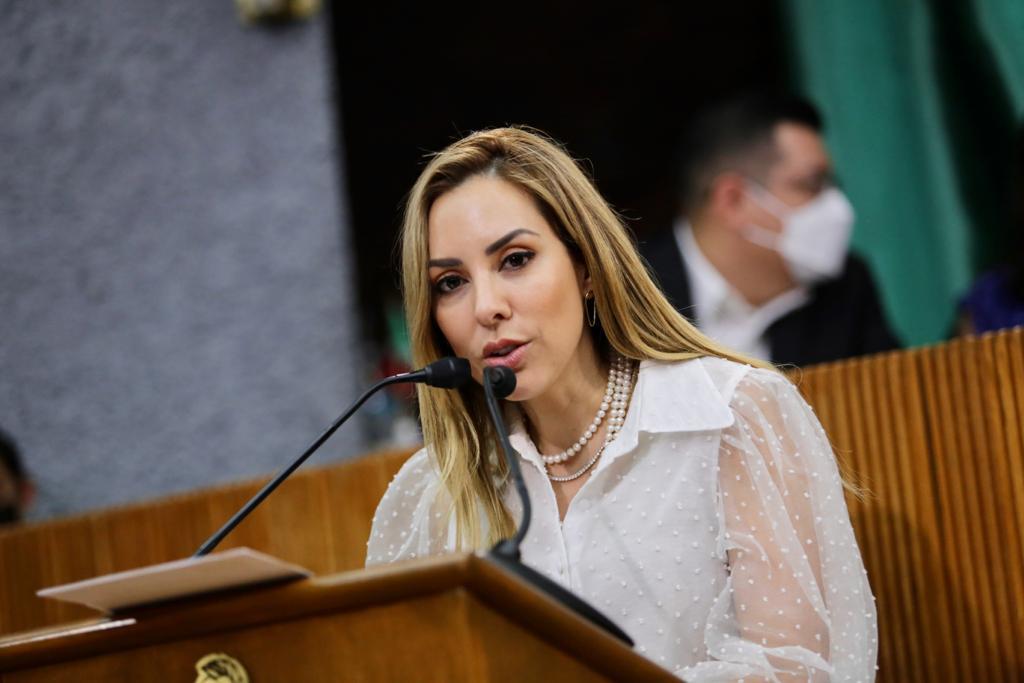 Plantea PRI que casetas de vigilancia estén conectadas al C4 ...